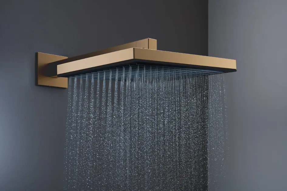 Hansgrohe Pulsify E - Rociador de ducha, 26x26 cm, EcoSmart+, bronce ...