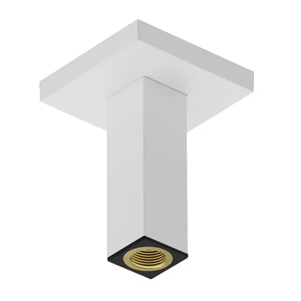 Hansgrohe Toebehoren - Douchearm plafond, 11 cm, mat wit 24338700 ...