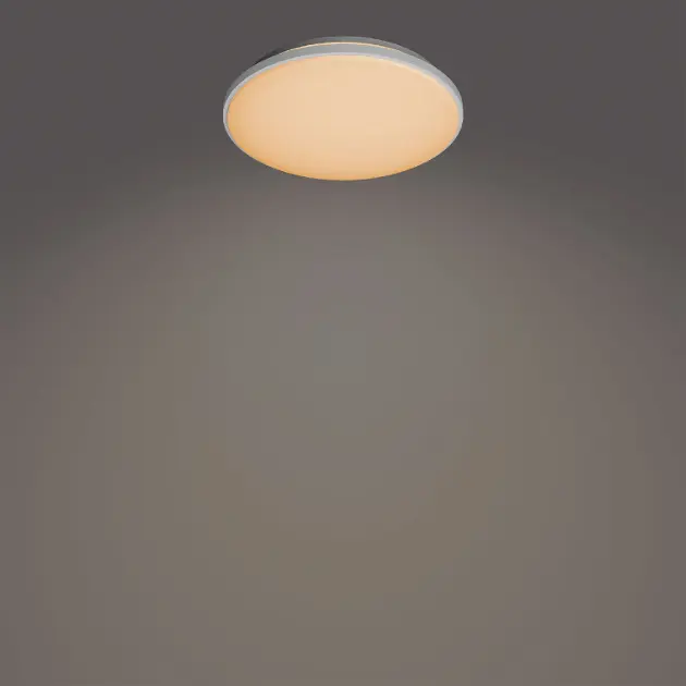 Philips Iluminación - Luminaria LED de techo, diámetro 48 cm, 40 W ...