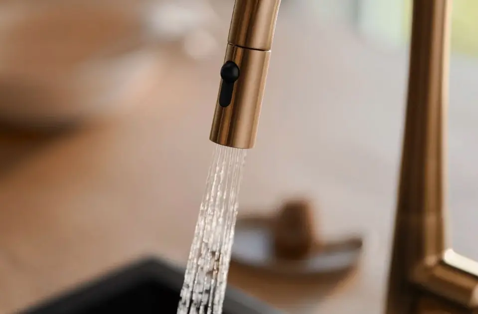 Hansa Designo - Spültischarmatur mit ausziehbarer Brause, Bronze ...