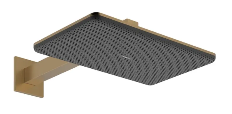 Hansgrohe Raindance Alive Q - Pălărie de duș, 21x34 cm, 2 jeturi ...