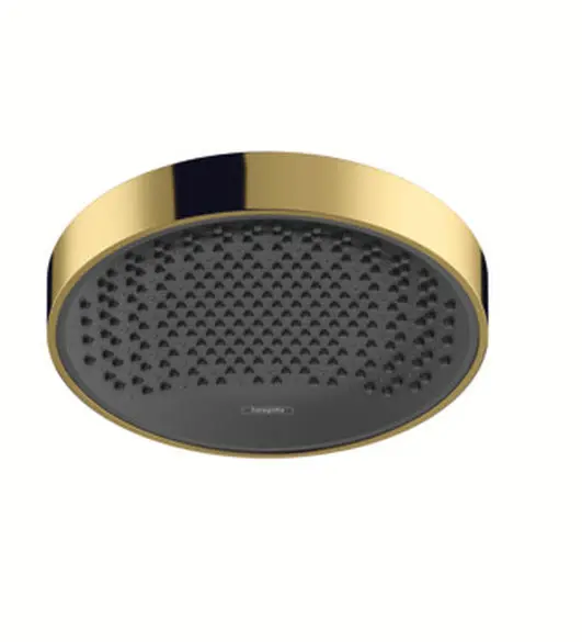 Hansgrohe Rainfinity - Hoofddouche 250, 1 jet, gepolijst goud 26228990 ...
