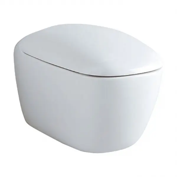 Geberit Citterio - WC sospeso, Rimfree, con KeraTect, bianco 500.510.01 ...