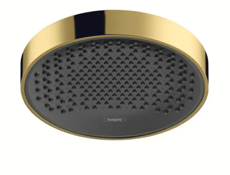 Hansgrohe Rainfinity - Soffione doccia 250, EcoSmart, color oro lucido ...